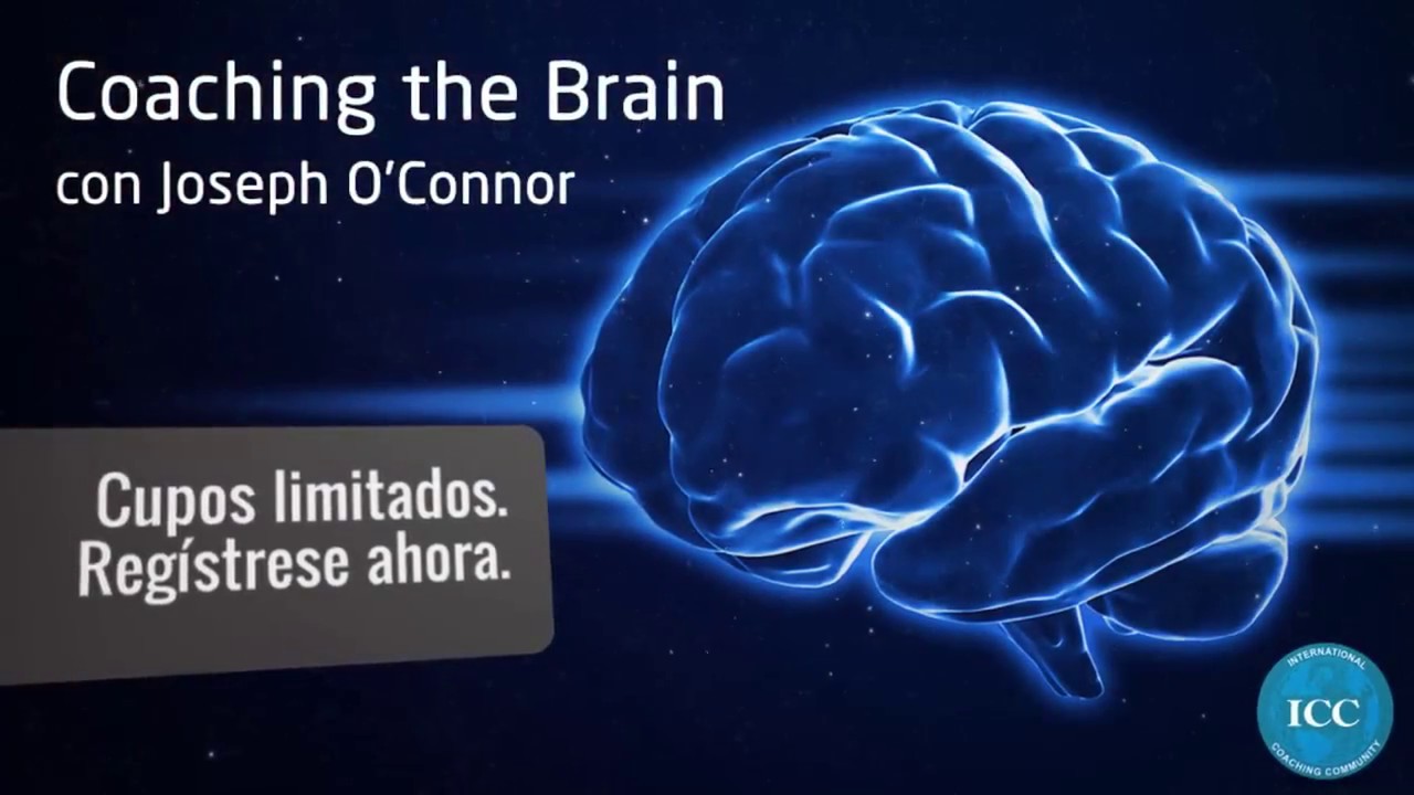 Coaching the Brain: : Aplicaciones prácticas de la neurociencia al coaching - Joseph O'Connor ...
