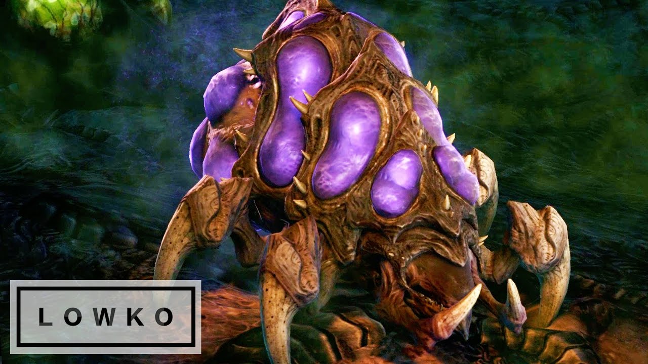 StarCraft 2: NO RISKS - Extremely Safe Zerg vs Terran! - YouTube