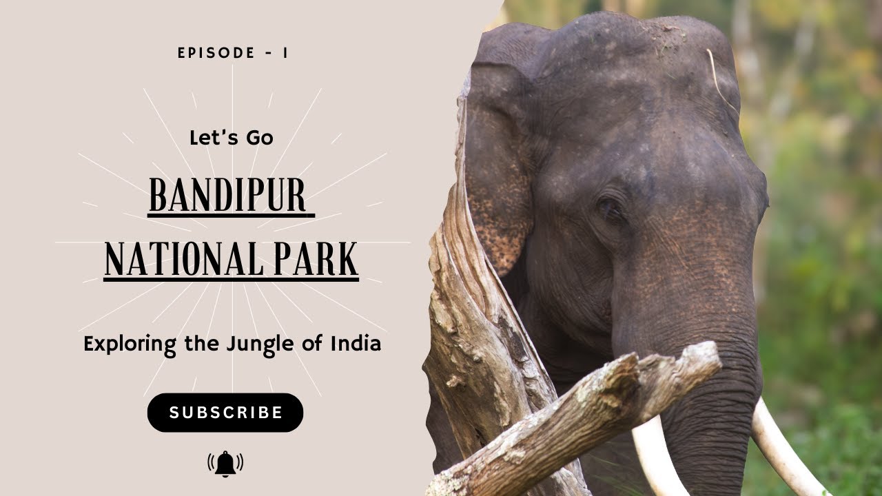 Bandipur National Park | Episode 1 - "The Journey" | Road trip to ...