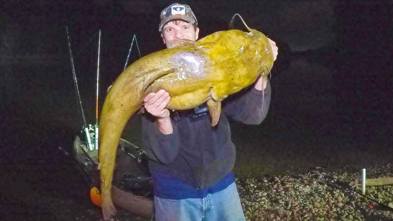 Big Cape Fear River Flathead Catfish - YouTube