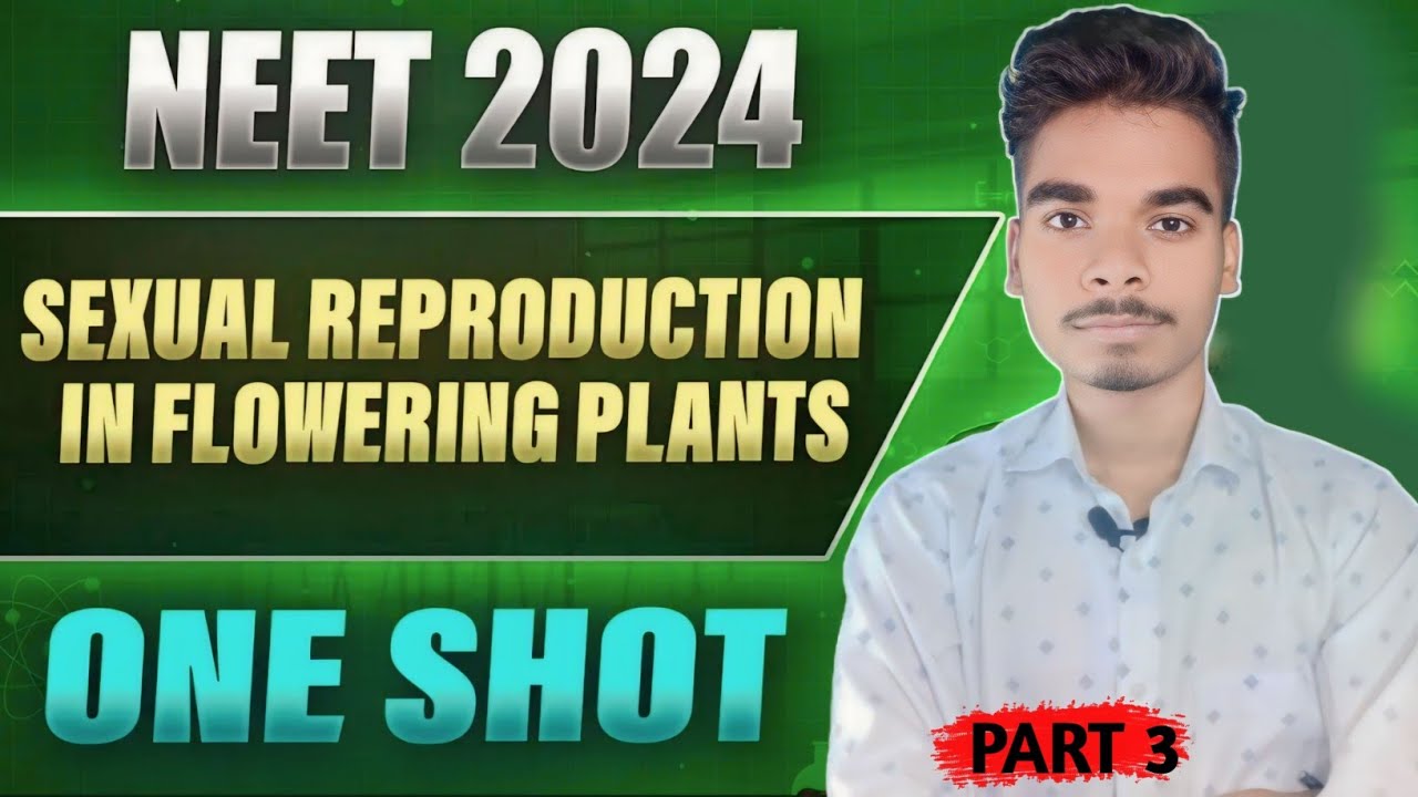 Sexual Reproduction in Flowering Plants Class 12 PART 3 || Notes, Full ...