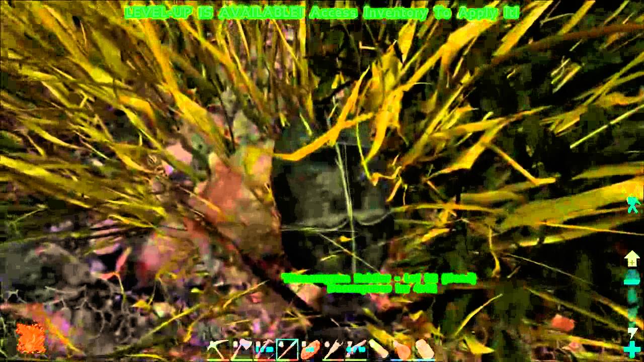 ARK Survival Envolved - Probando mi nueva escopeta - YouTube