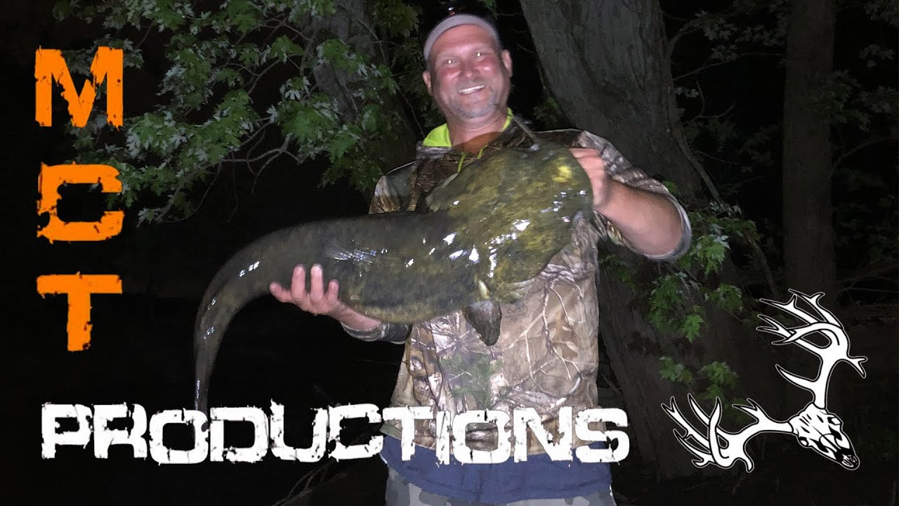 Channel Cat Mangled By A Flathead, And A 26lb Flathead - YouTube