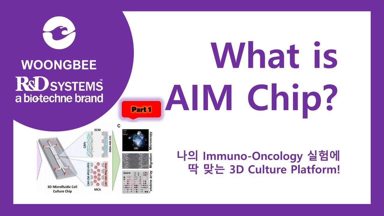 3-2a. What is AIM Chip? (2 of 5) - YouTube