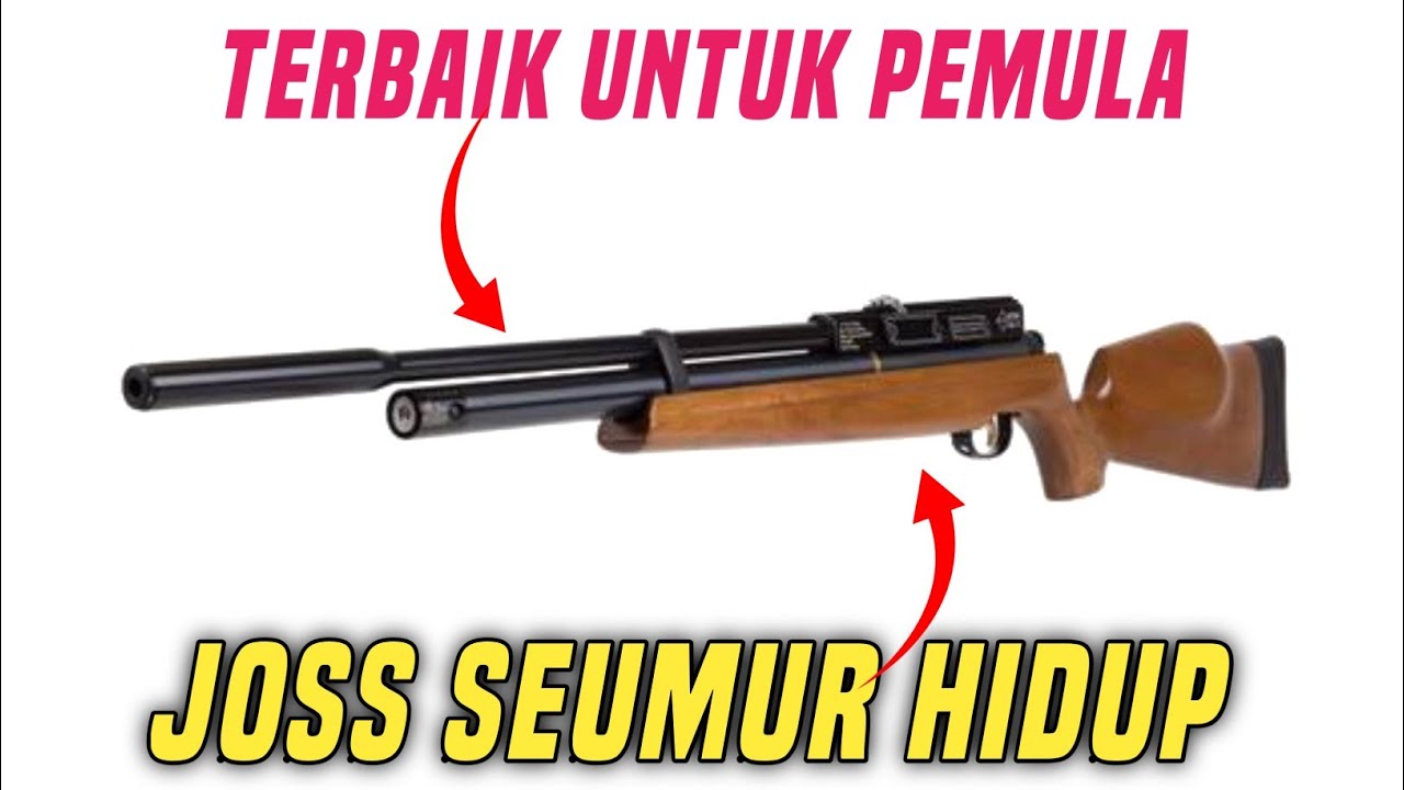 5 Rekomendasi senapan PCP untuk pemula senapan angin - YouTube