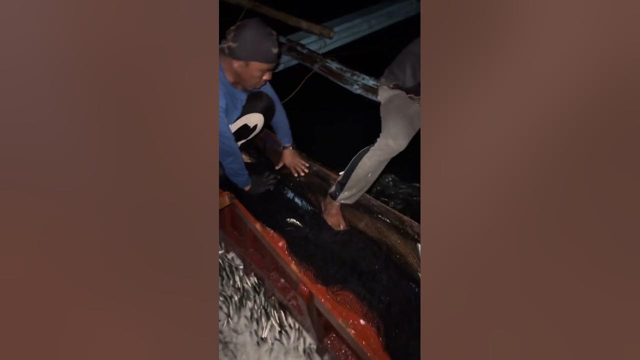 Subrang daming isda - YouTube