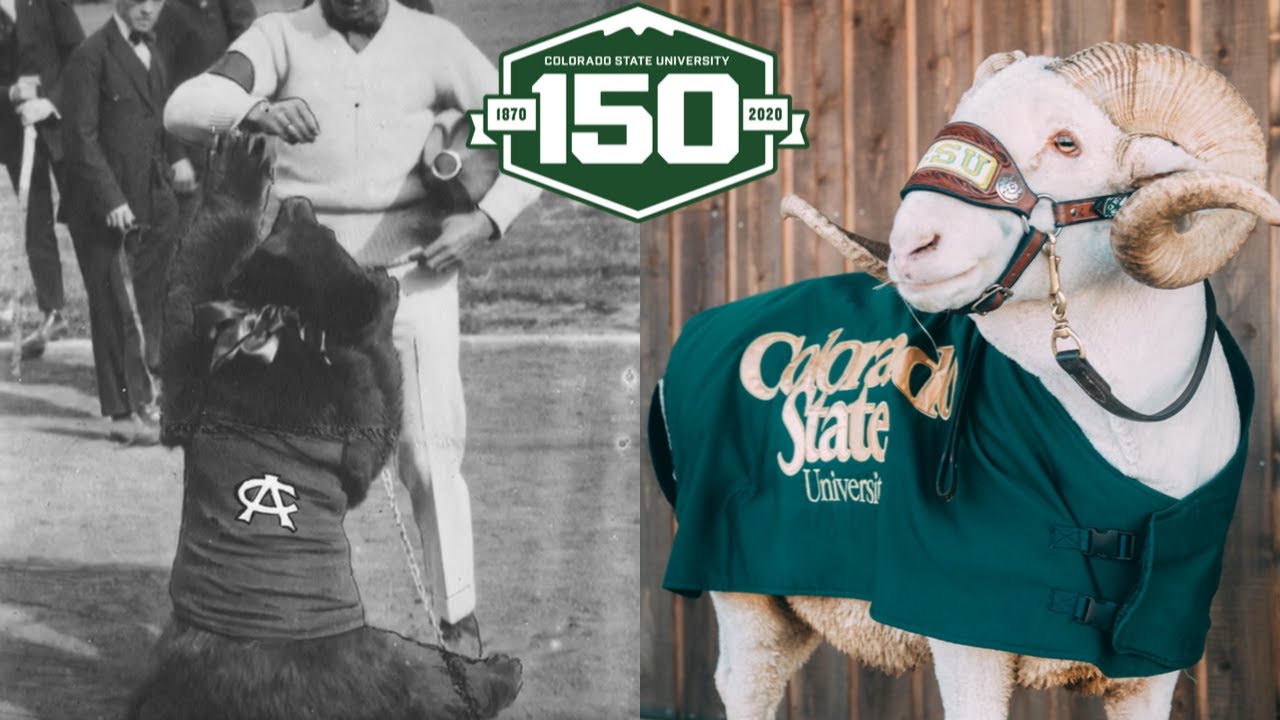 Colorado State University Mascot