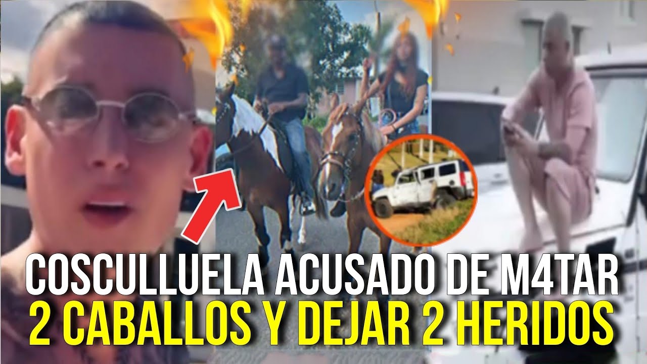 COSCULLUELA ACUSADO DE MAT4R SUPUESTAMENTE 2 CABALLOS Y DEJAR 2 JINETES ...