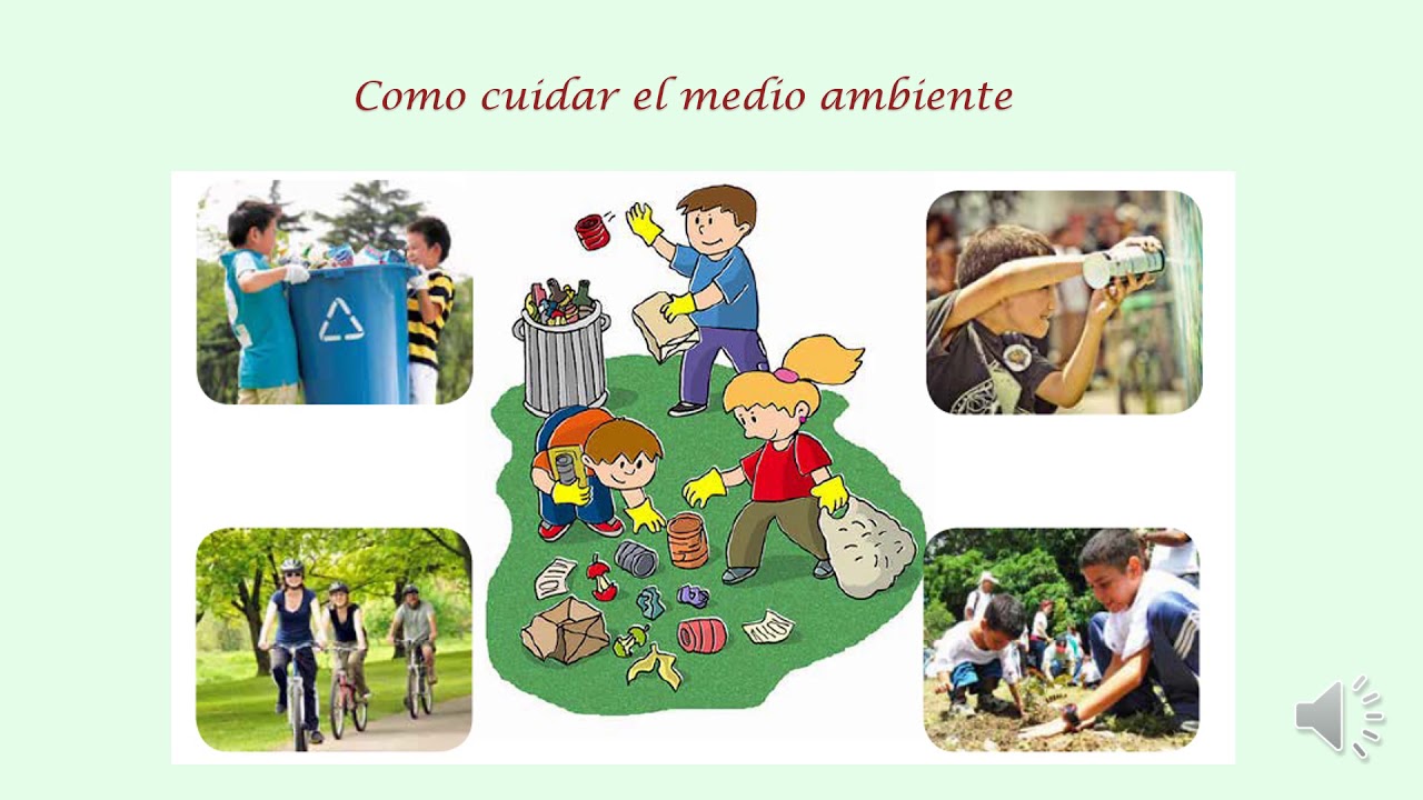 PRIMER GRADO: el medio ambiente y sus elementos - YouTube