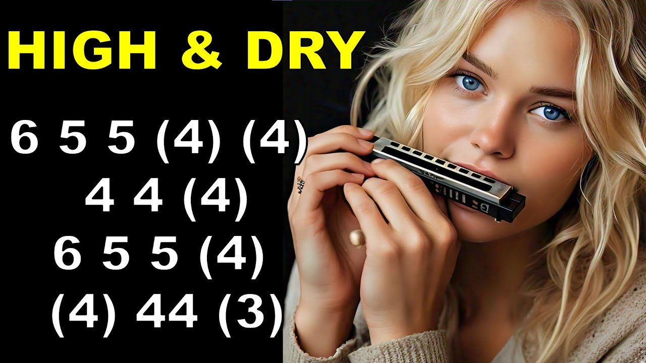 HIGH & DRY HARMONICA ( C DIATONIC ), ARMÓNICA C, TABS, BLUES HARP C ...