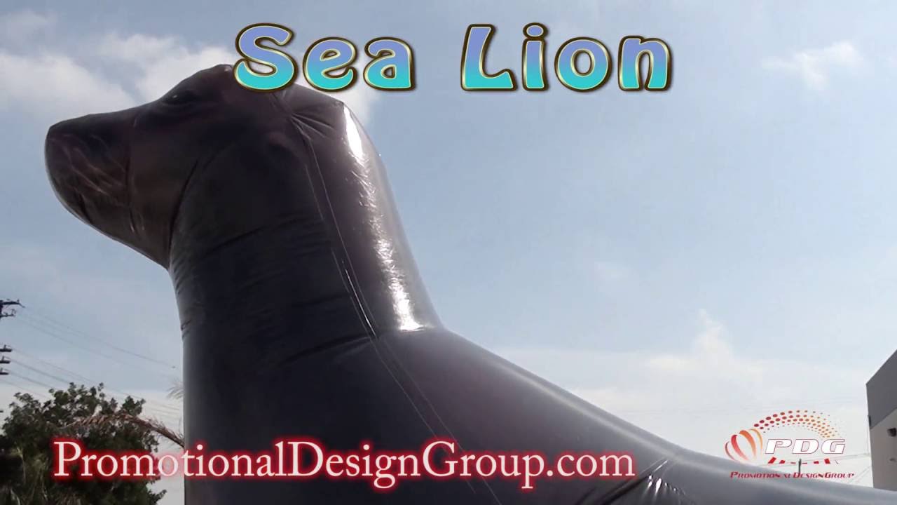 Sea Lion Inflatable - YouTube