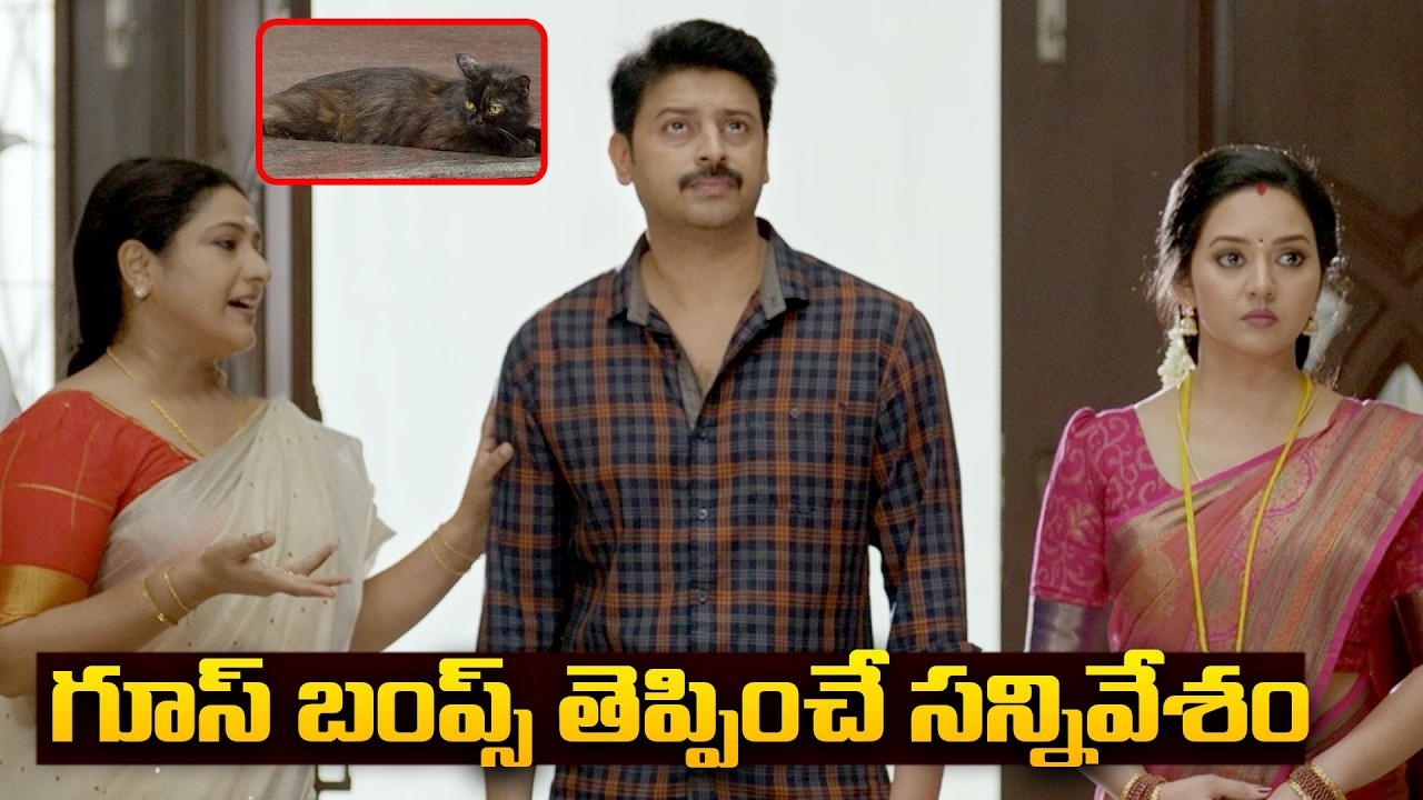 గూస్ బంప్స్ తెప్పించే సన్నివేశం | Srikanth Best Goose Bumps Scene ...