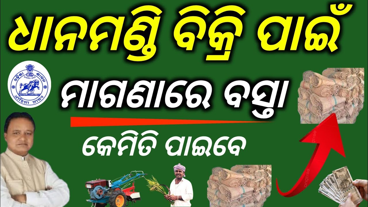 dhan Mandi/ ଧାନ ବିକ୍ରି ପାଇଁ ମାଗଣାରେ କେମିତି ମିଲବ ବସ୍ତା ଜାଣନ୍ତୁ/Odisha ...