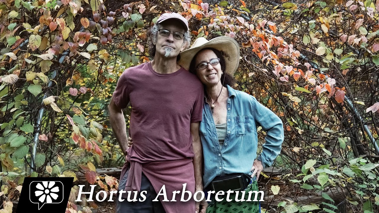 Hortus Arboretum - YouTube