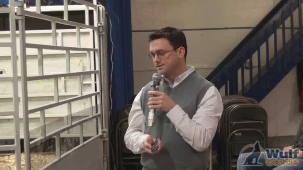 2014 Wulf Cattle Seminar #2, Dr. Matt Spangler - YouTube