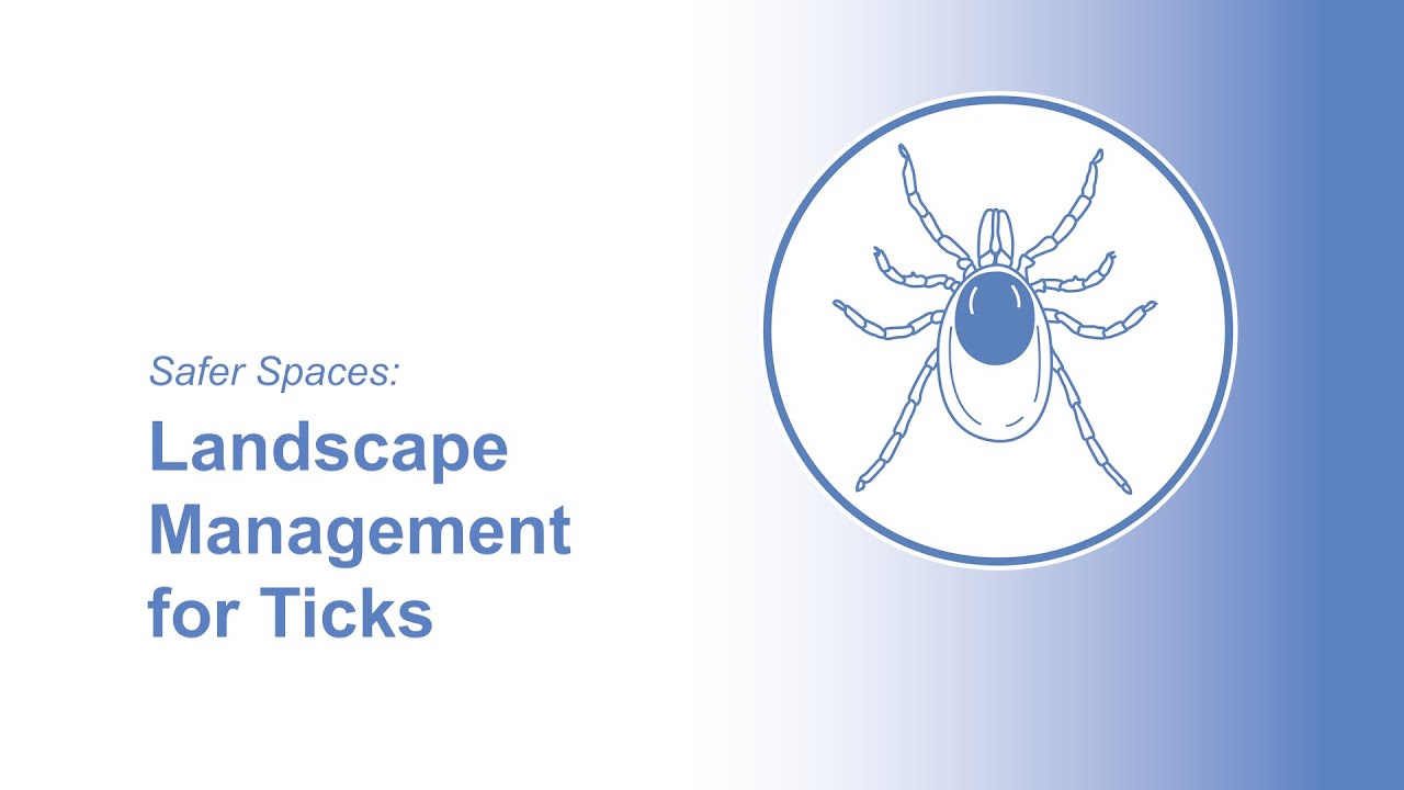 Safer Spaces: Landscape Management for Ticks - YouTube
