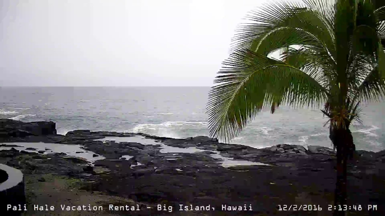 Pali Hale Live Stream from Puna Coast of Kea'au, Big Island Hawaii ...