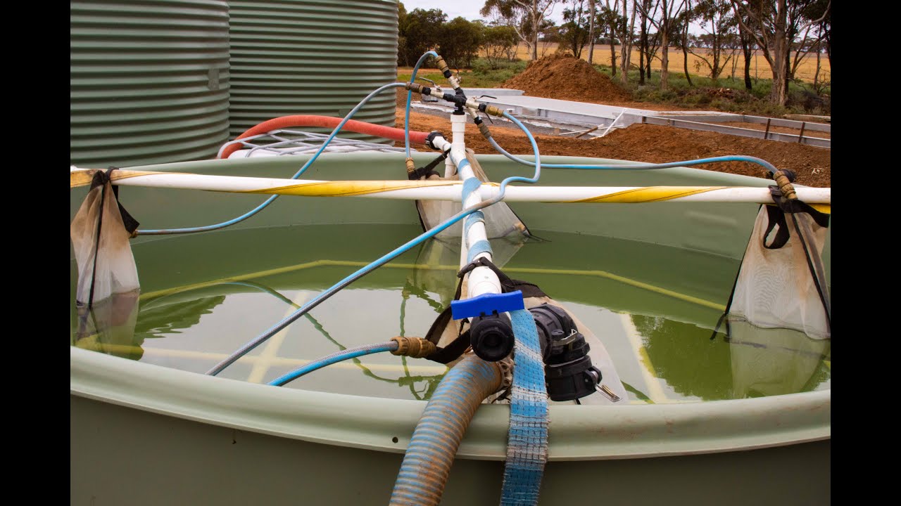 Compost extract - YouTube