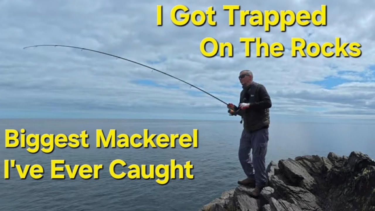The Biggest Mackerel I've Ever Caught Unreal Day In Scotland Apart From ...