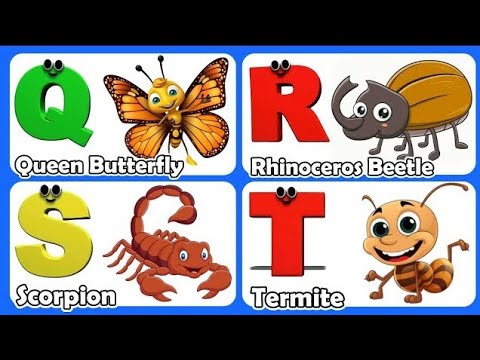 Insect Alphabet with Alphabet / ABC insects / A-Z Insect flashcards / a ...