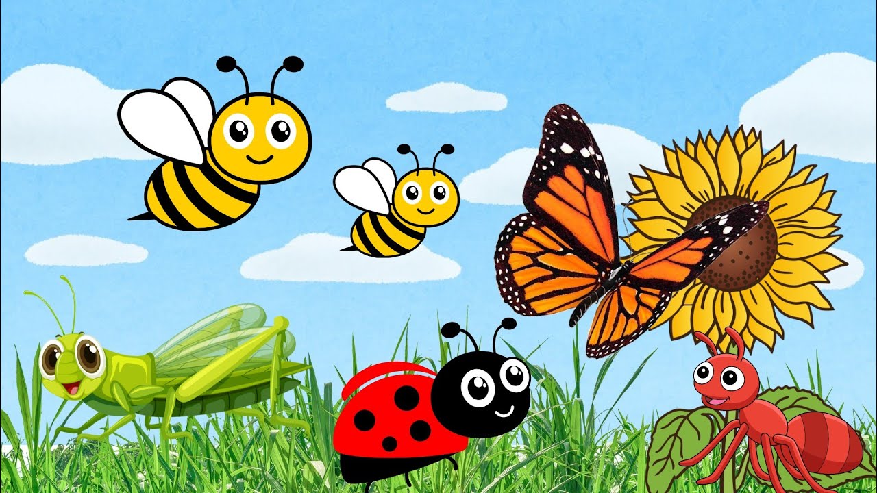Learning insect for kids/Insect name for children/Educational videos ...