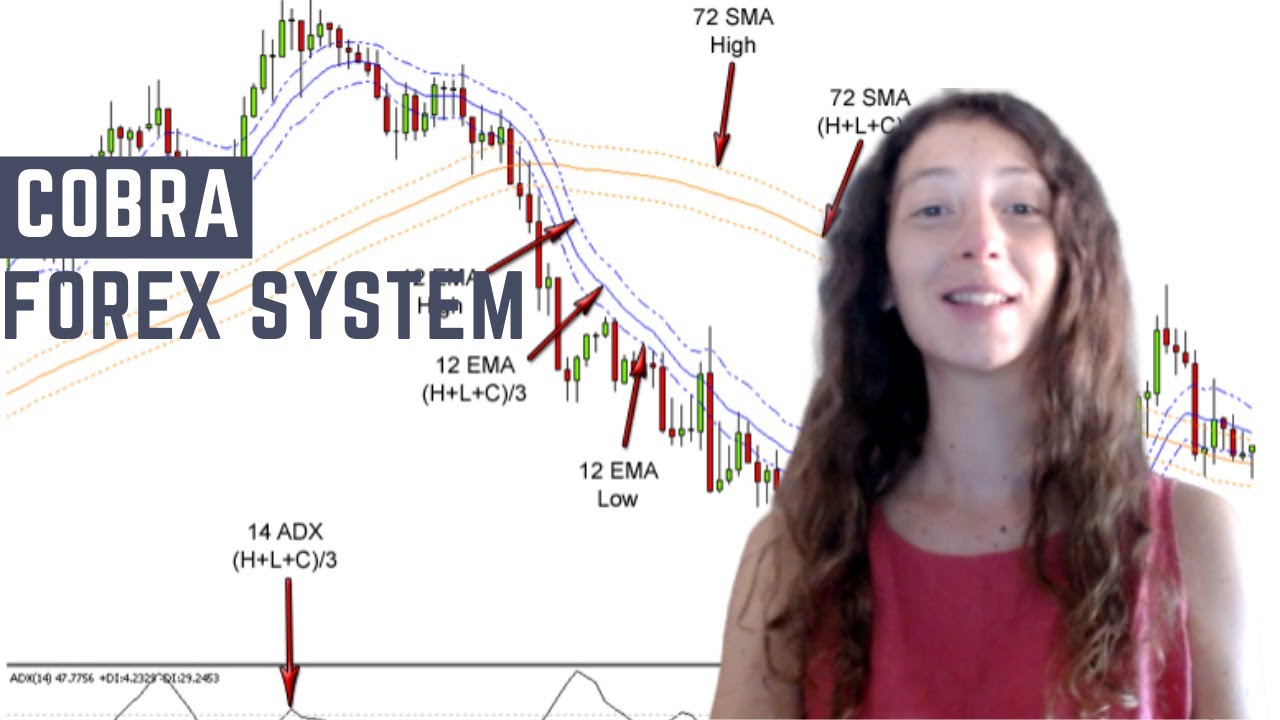 Cobra Forex System, A Way To Win In Forex - YouTube