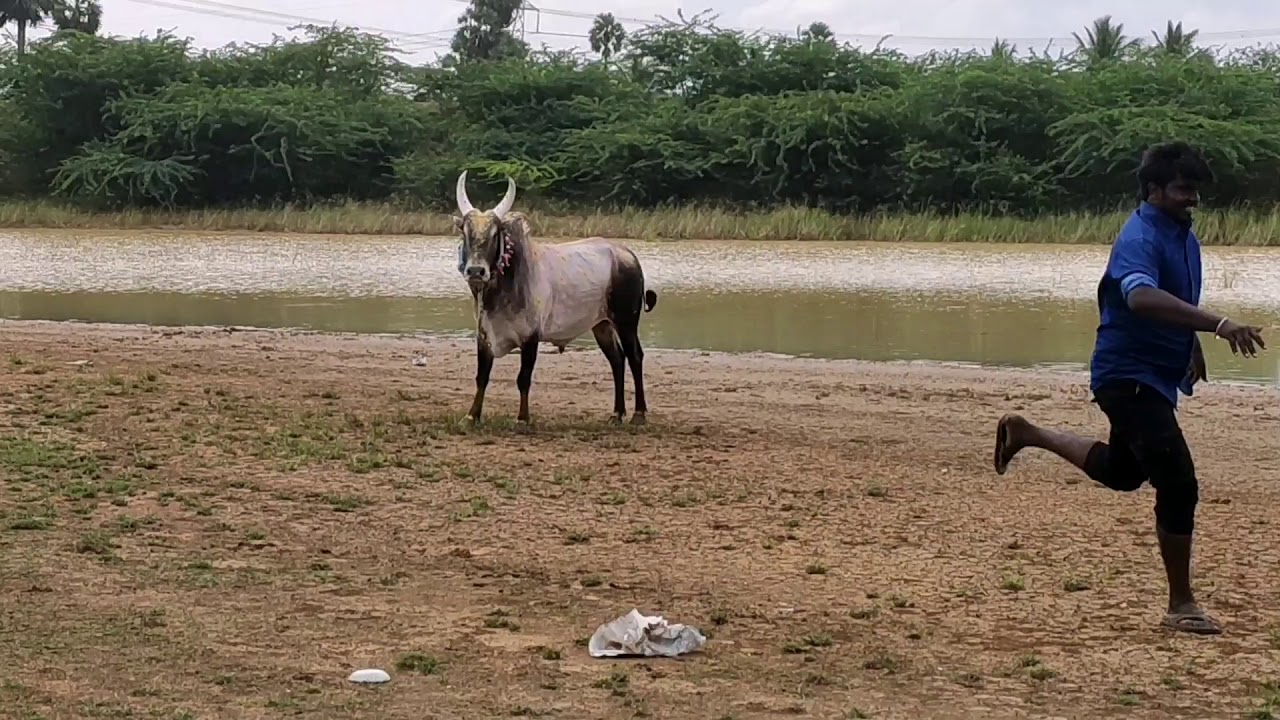 Logesh waran - YouTube