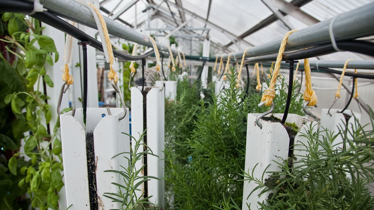 Your Ideas. ZipGrow™ Technology. Endless Possibilities. - YouTube