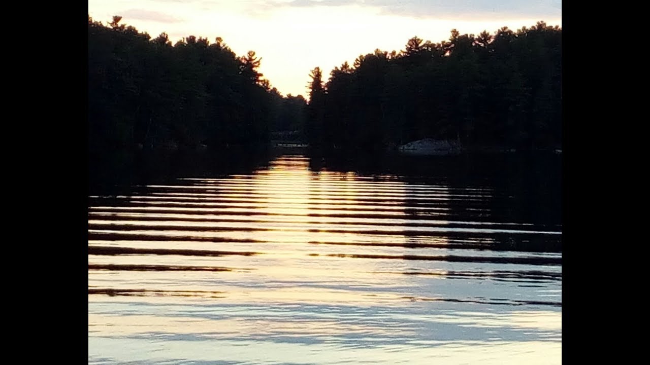 Canadian Wilderness - Call of the Loons - YouTube