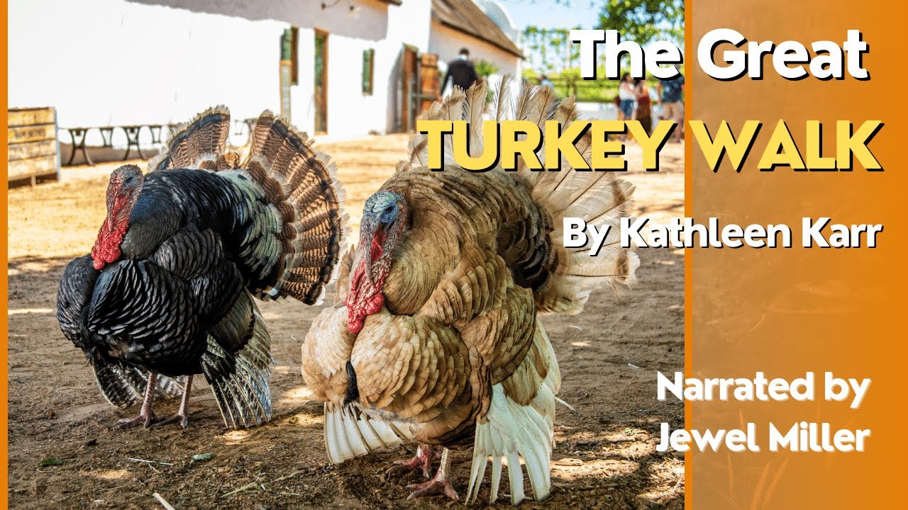 Ch 2 The Great Turkey Walk - YouTube