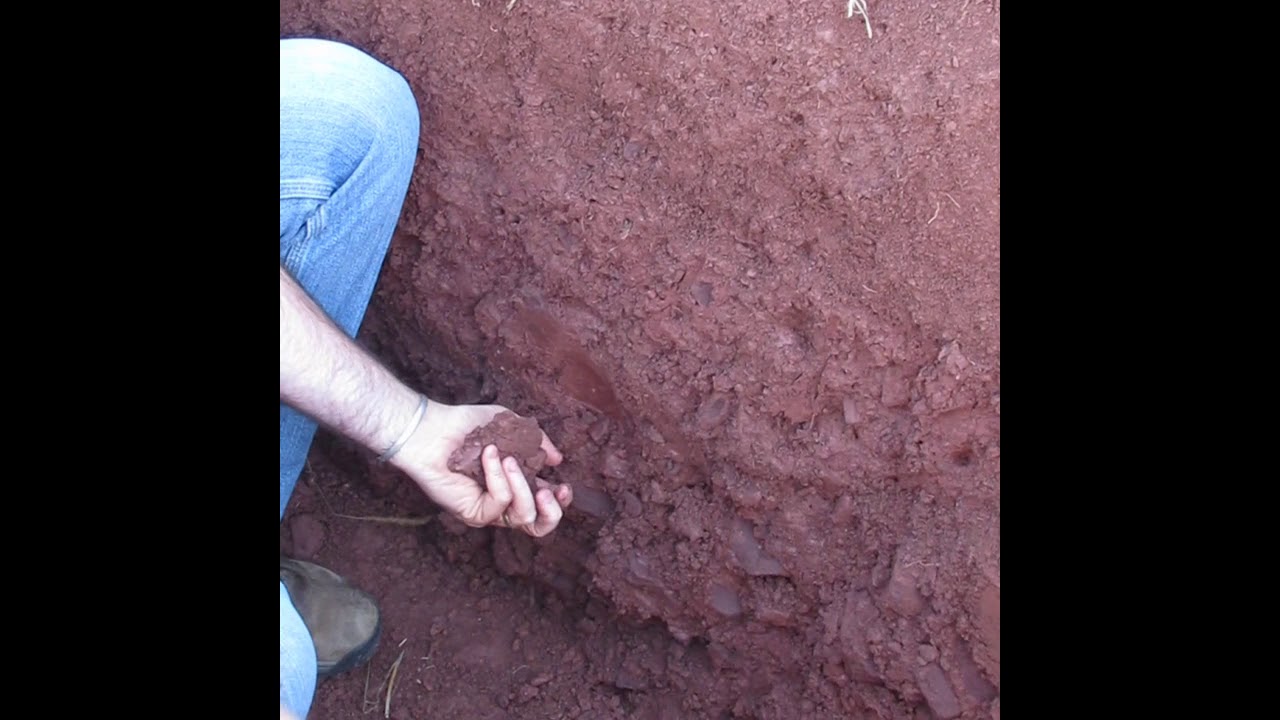Land Judging Pit