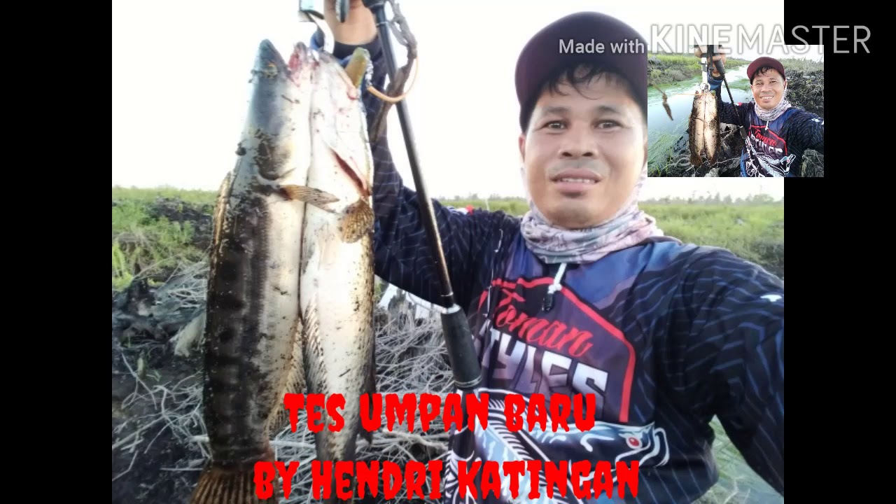 Mancing liar katingan 2 - YouTube