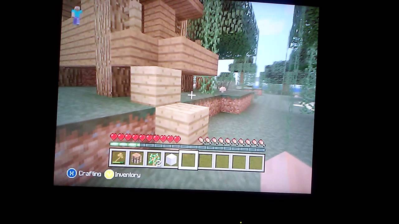 1st Minecraft Episode? - YouTube