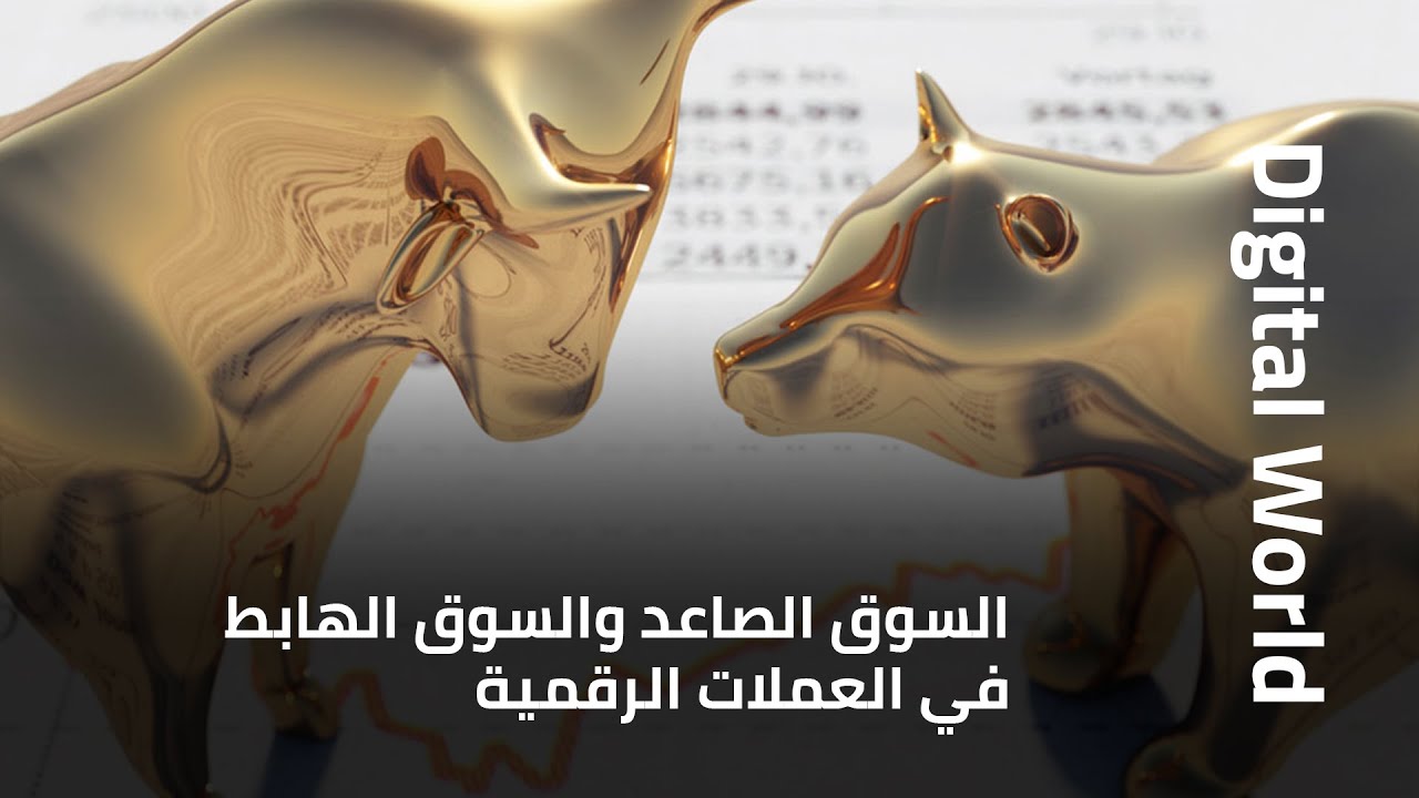 السوق الصاعد والسوق الهابط في العملات الرقمية Youtube