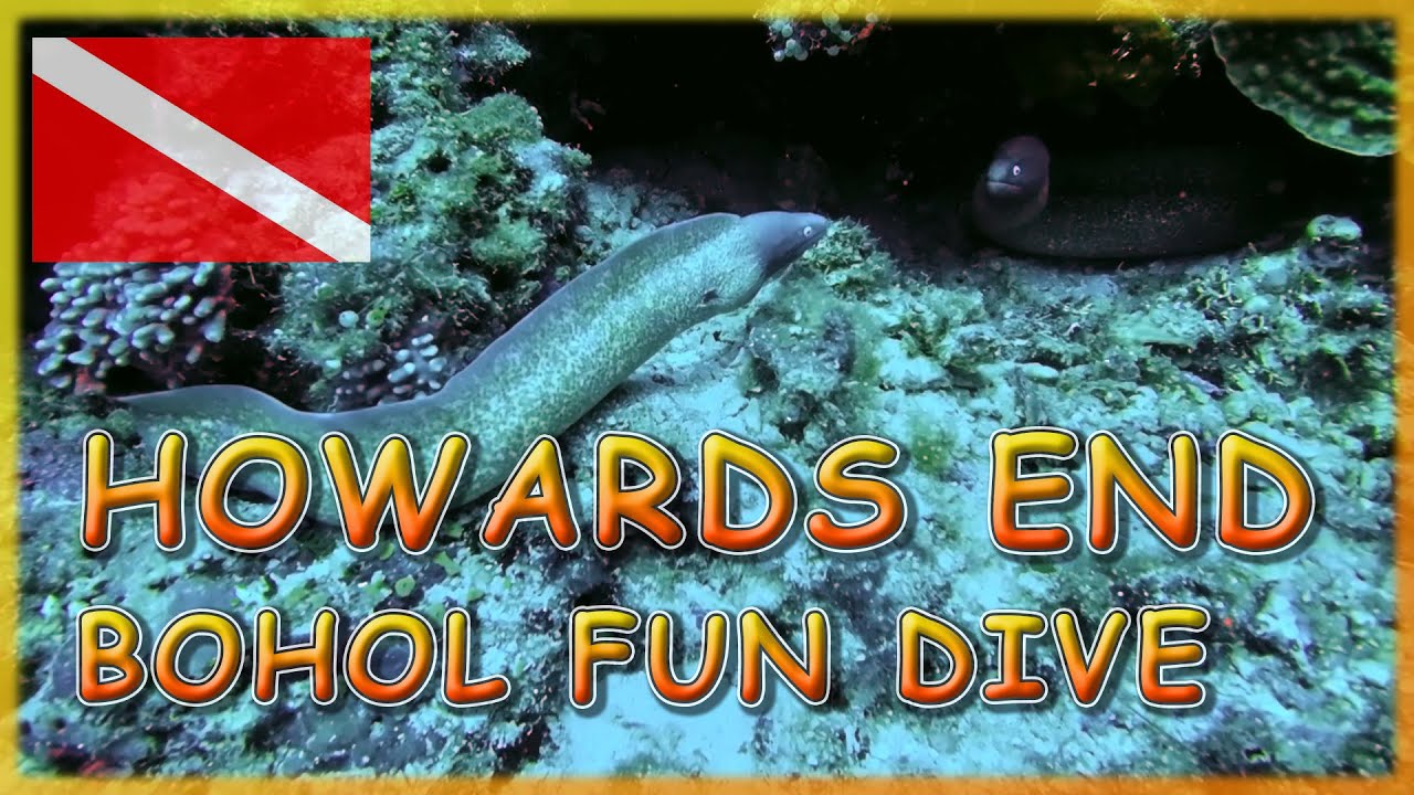 Howard's End 2023 - Fun Dive 17m - YouTube