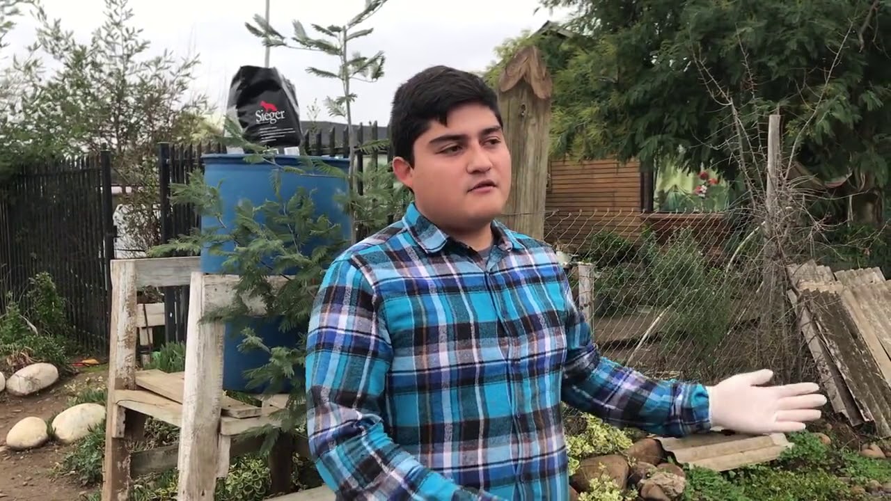 Ignacio Machuca y su trabajo con los perritos abandonados Pelarco - YouTube