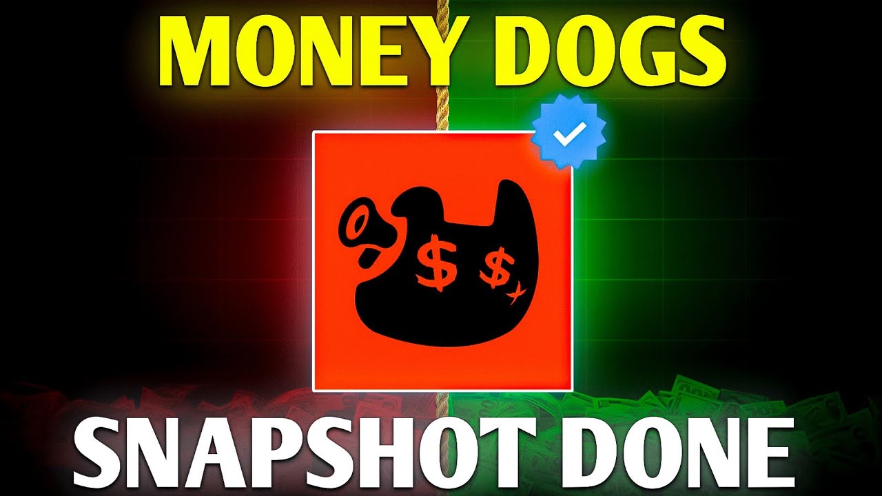 money dogs airdrop kab aayega? money dogs airdrop listing date | money ...