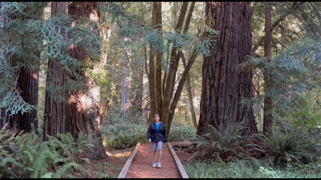 Redwood Meadows RV Resort and Jedidiah Smith Redwoods State Park - YouTube
