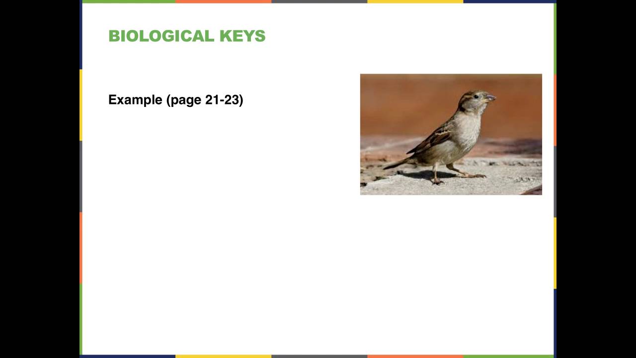 Biology Week 1 A 3 - YouTube