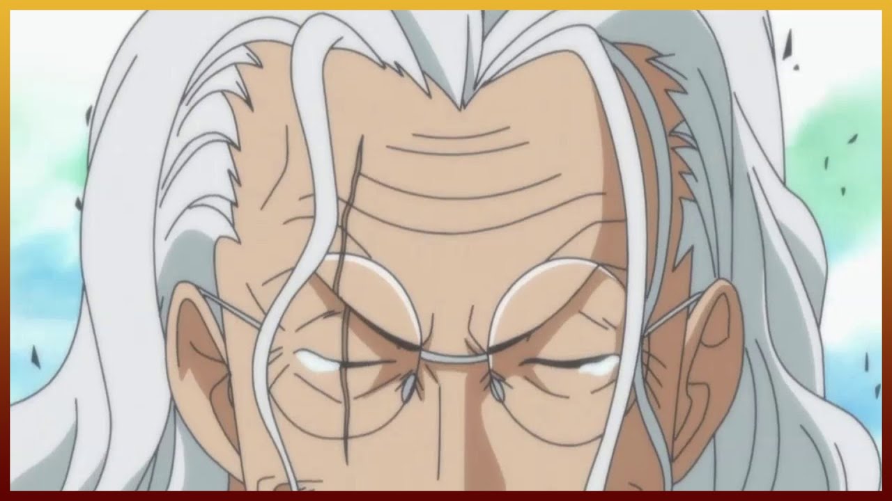 J'arrive pas avec Rayleigh - Véritable pirate Warrior Rayleigh è OPPW4 ...