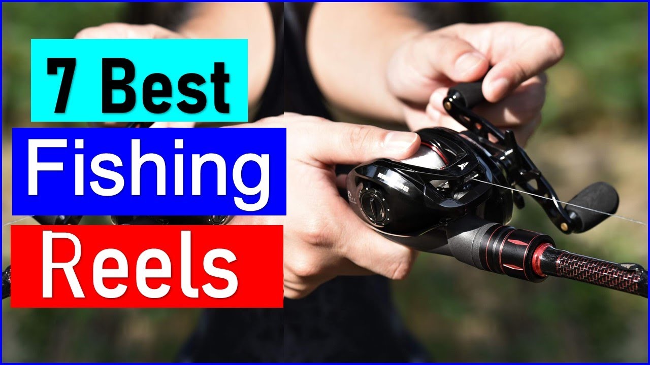 Top 7 Best Fishing Reels in 2025 | Best Fishing Reels - Reviewed - YouTube