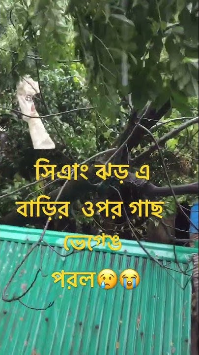 Sitrang cyclone Bangladesh | সিএাং এর ভয়ংকর রুপ বাংলাদেশ # MamuN BRo - YouTube