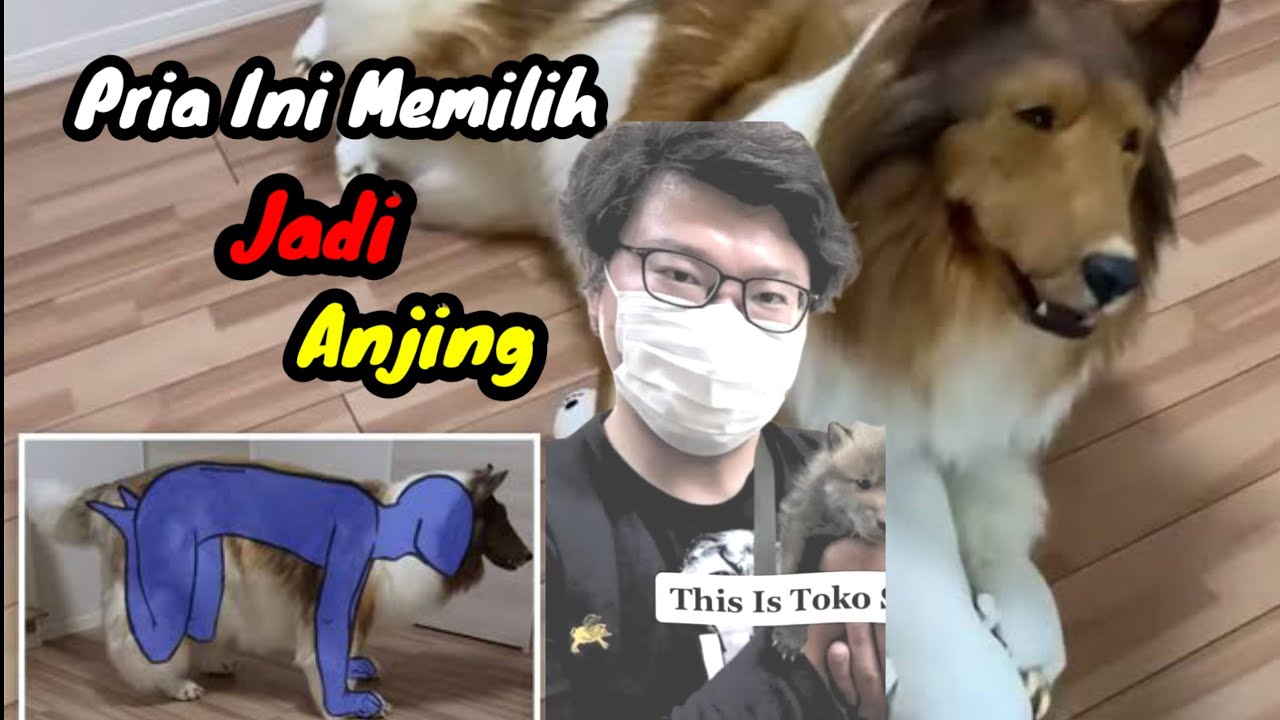 "Kisah Toco: Pria Jepang yang Memilih Menjadi Anjing dengan Cara Tak ...
