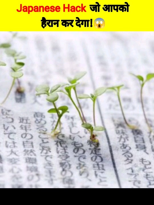 Japanese Hacks जो आपको हैरान कर देगा! 😱 | Amazing Facts #facts #shorts ...
