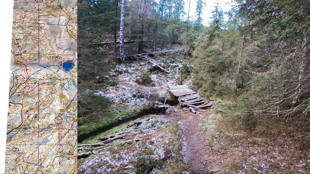 Orienteering: Brunkollen, Bærum - YouTube