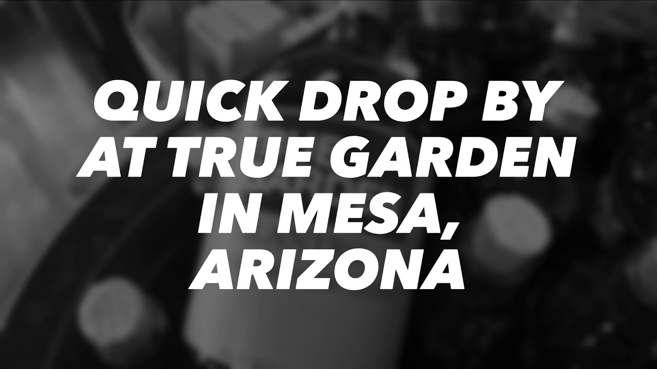 Dropping by True Garden | Mesa, Az - YouTube