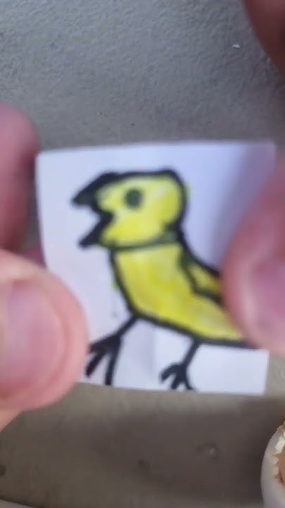 Le poussin piou 02 - YouTube