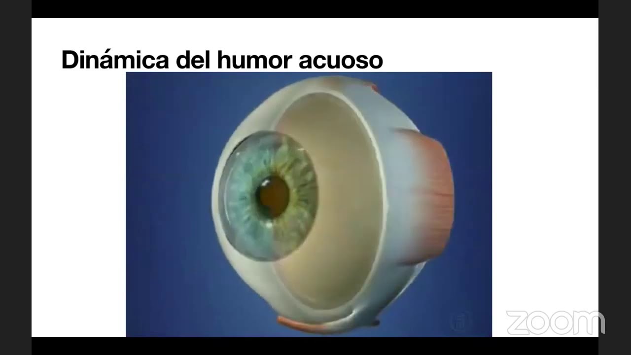 Dinámica de humor acuoso y presión intraocular - YouTube