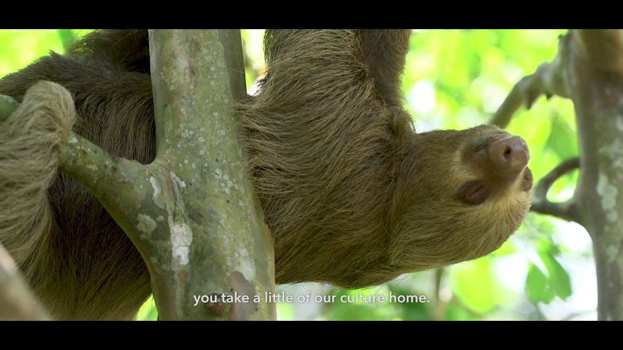 Shintuya - Harakbut Amazonian community - YouTube