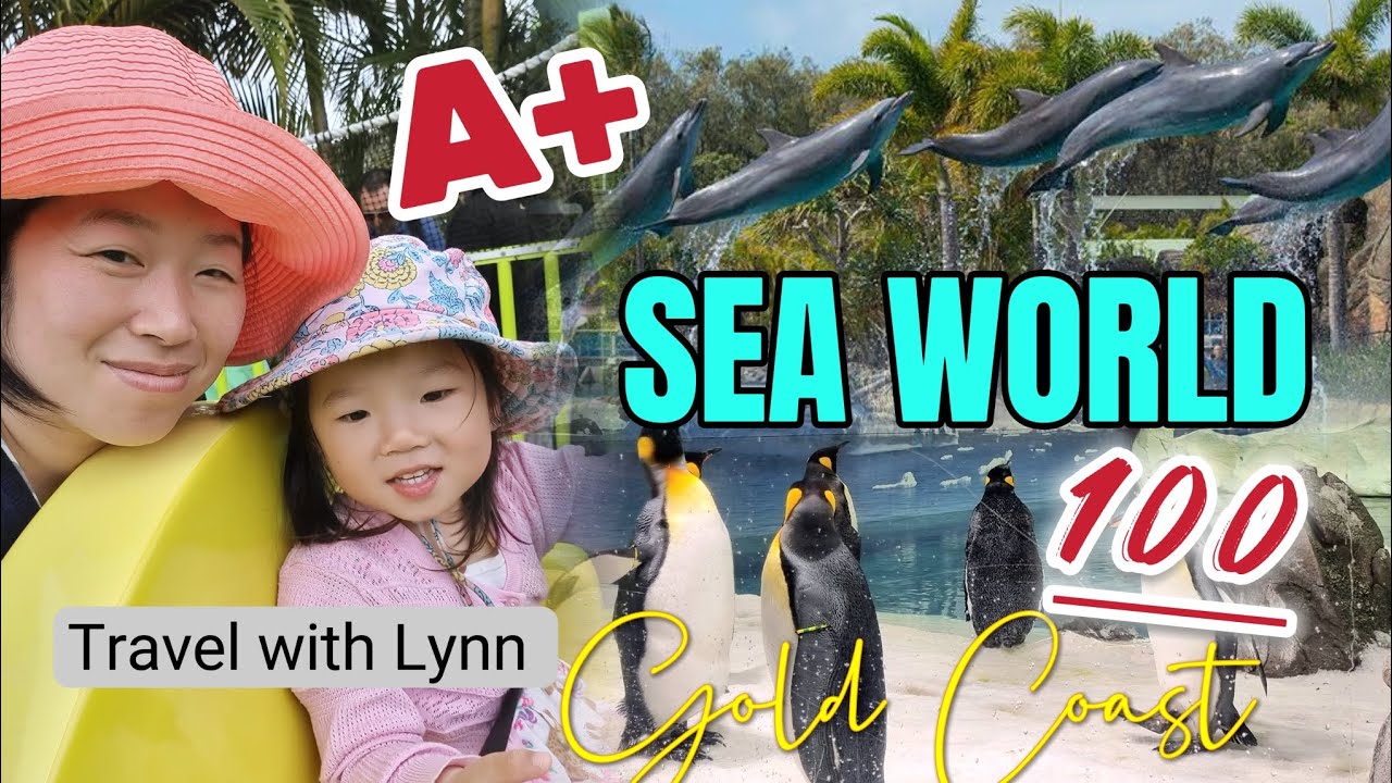 Travel with Lynn to Seaworld 🌊 🦭 | Gold Coast QUEENSLAND - YouTube